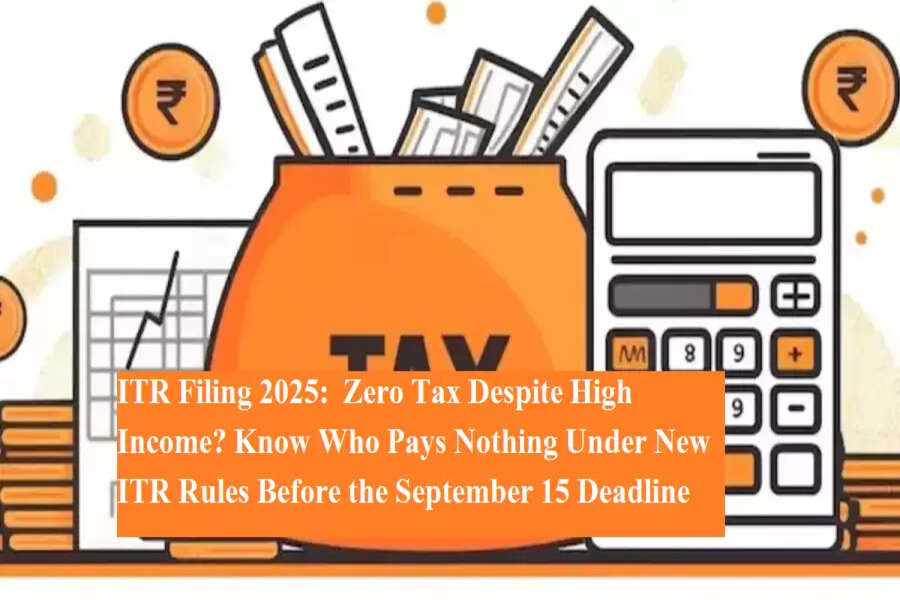 ITR Filing 2025: Zero Tax Despite High Income? Know Who Pays Nothing ...