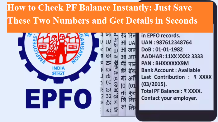 How to Check PF Balance Instantly: Just Save These Two Numbers and Get ...