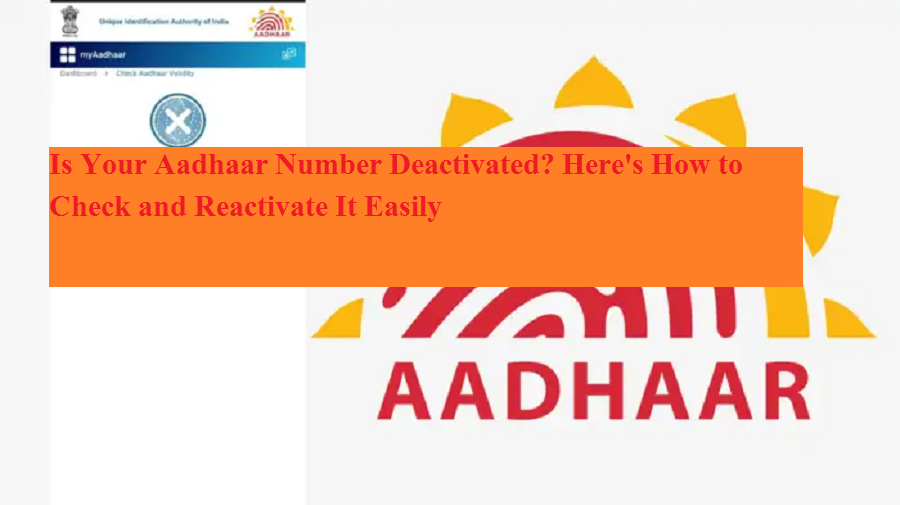 Is Your Aadhaar Number Deactivated? Here's How to Check and Reactivate ...