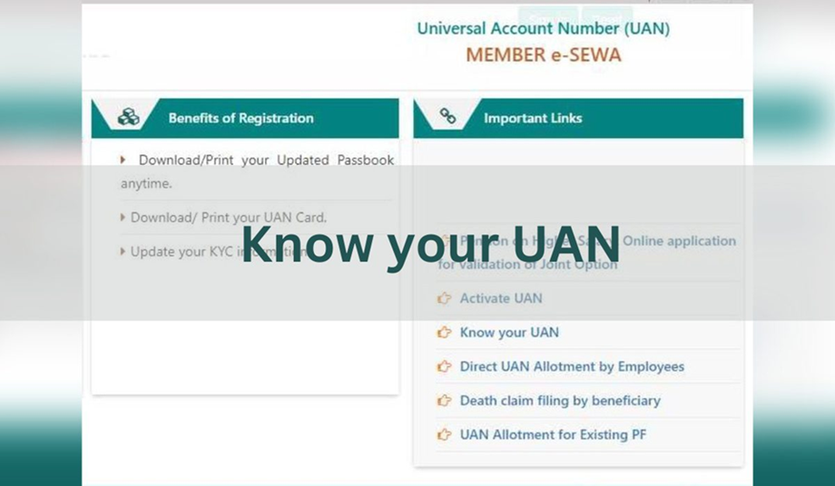 UAN Number: If you have forgotten your UAN number, recover it in ...