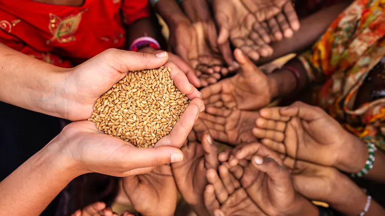 Benefits of Ration Card In India: There are not just one or two but 8 ...