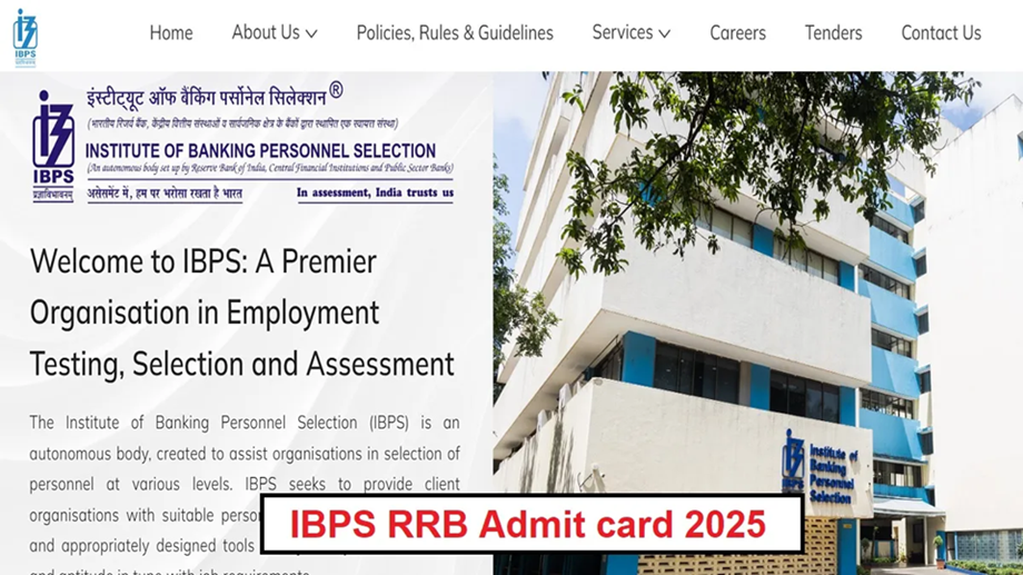 IBPS RRB Admit Card 2025: Office Assistant Prelims admit card may be ...