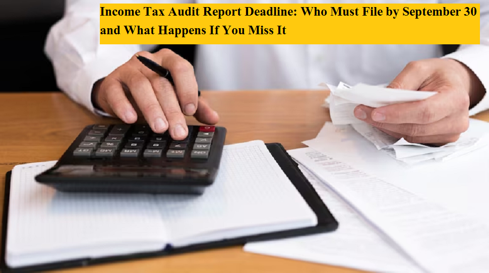 Income Tax Audit Report Deadline: Who Must File by September 30 and ...