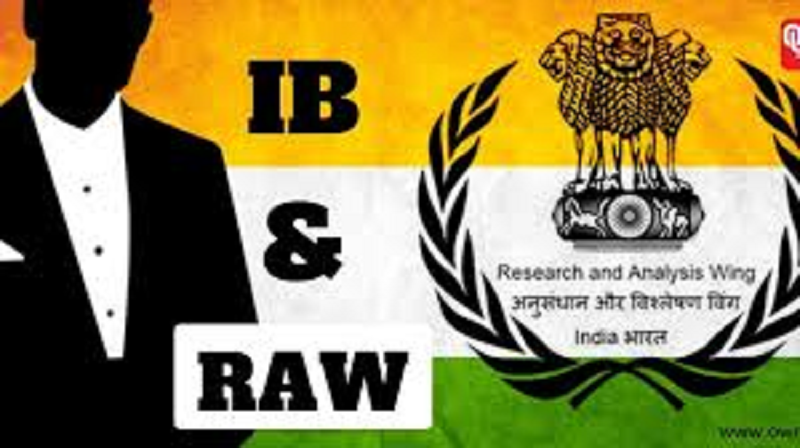 IB Vs Raw: What is the difference between IB and RAW, which is better? know here...